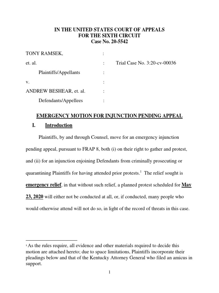 Ramsek Motion Injunction Pending Appeal | PDF | Government | Public Law