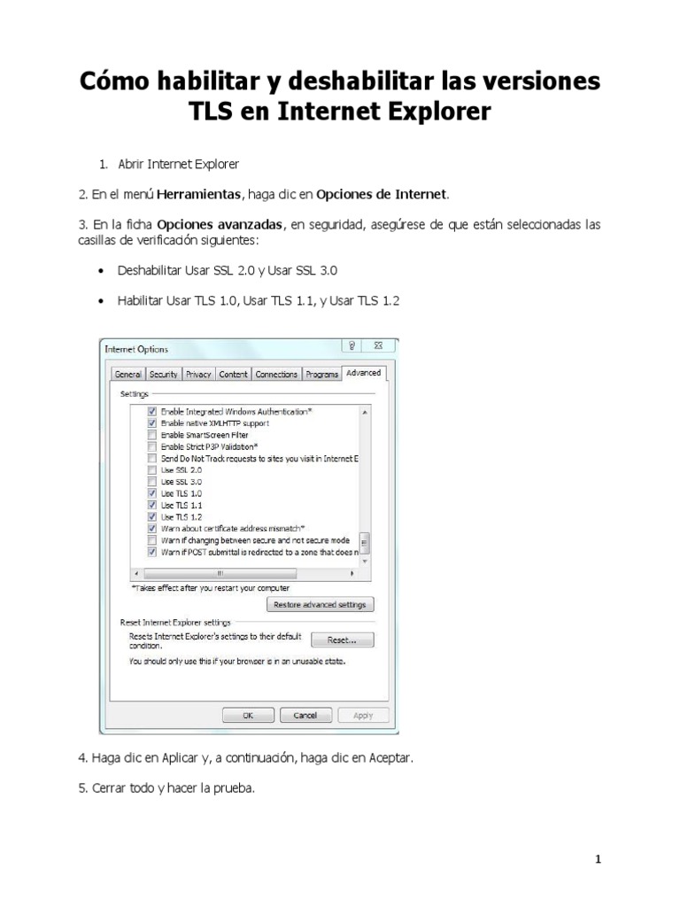 Habilitar TLS en Internet Explorer | PDF | Informática | Tecnología