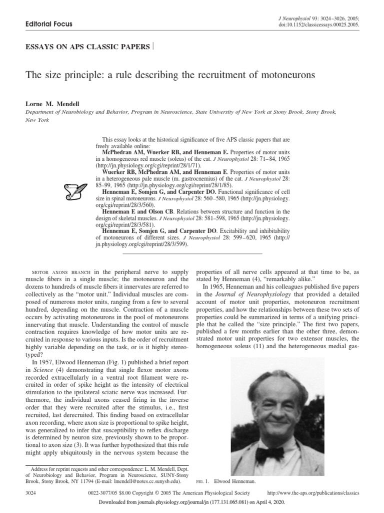 The Size Principle | PDF | Motor Neuron | Axon