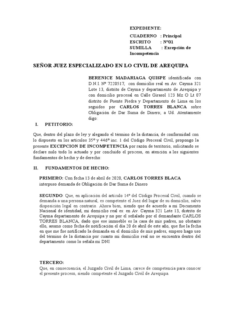 EXCEPCION | PDF | Demanda judicial | Ley procesal
