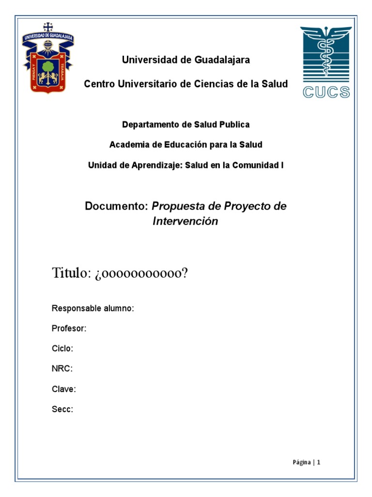Formato para Realizar Proyecto de Intervención | PDF | Evaluación | Presupuesto
