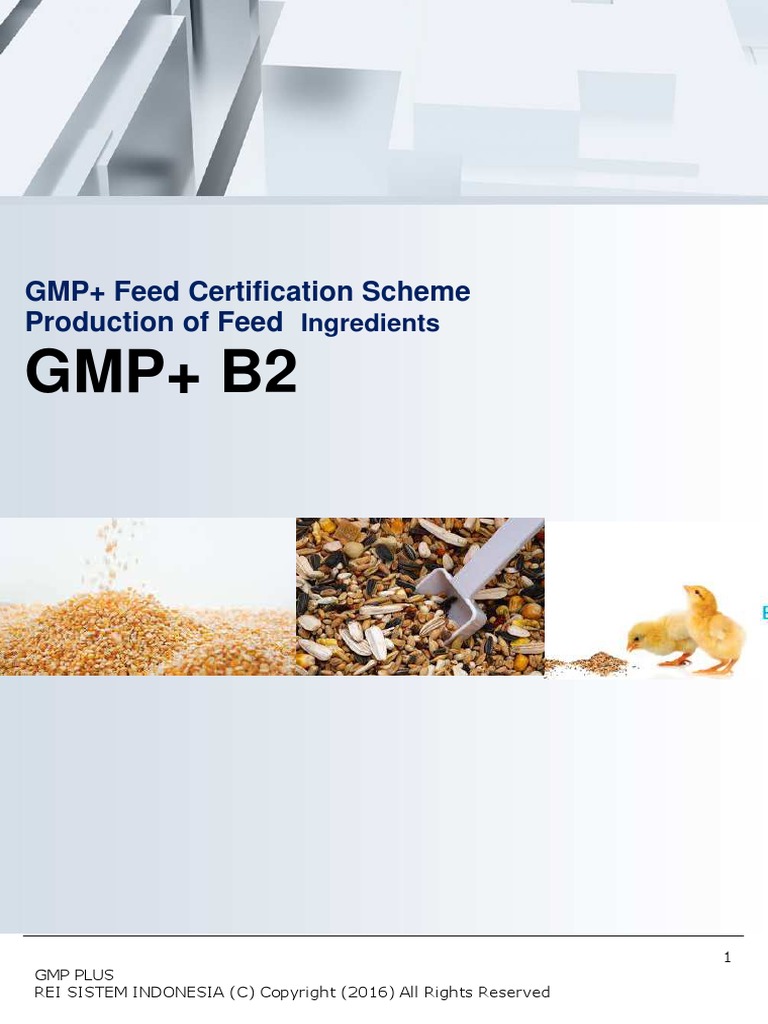 Silabus GMP Final 2016h | PDF