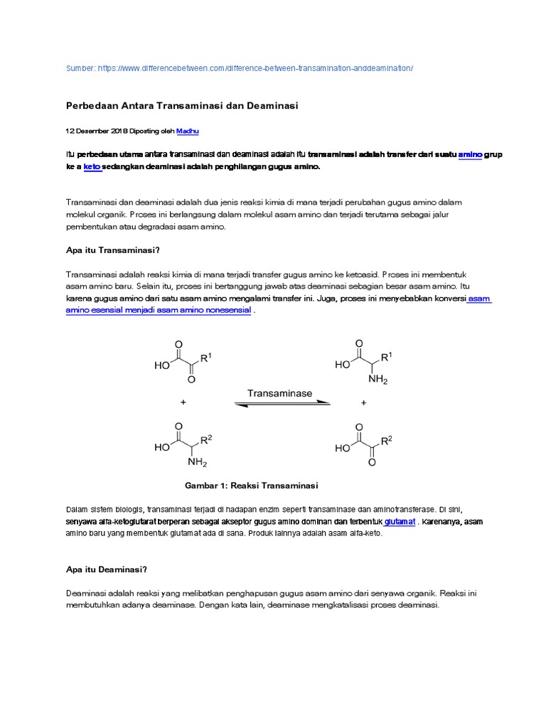 Perbedaan Transaminasi Dan Deaminasi - Katabolisme AA - En.id | PDF