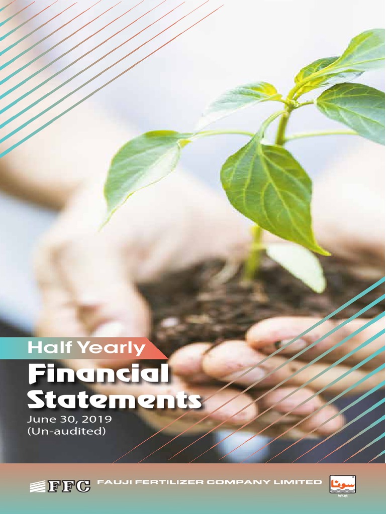 Financial Statements: Half Yearly | PDF | International Financial ...