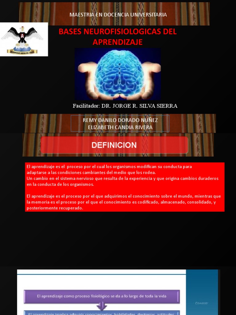 2.b.BASES NEUROFISIOLOGICAS DEL APRENDIZAJE | PDF | Dopamina | Cerebro