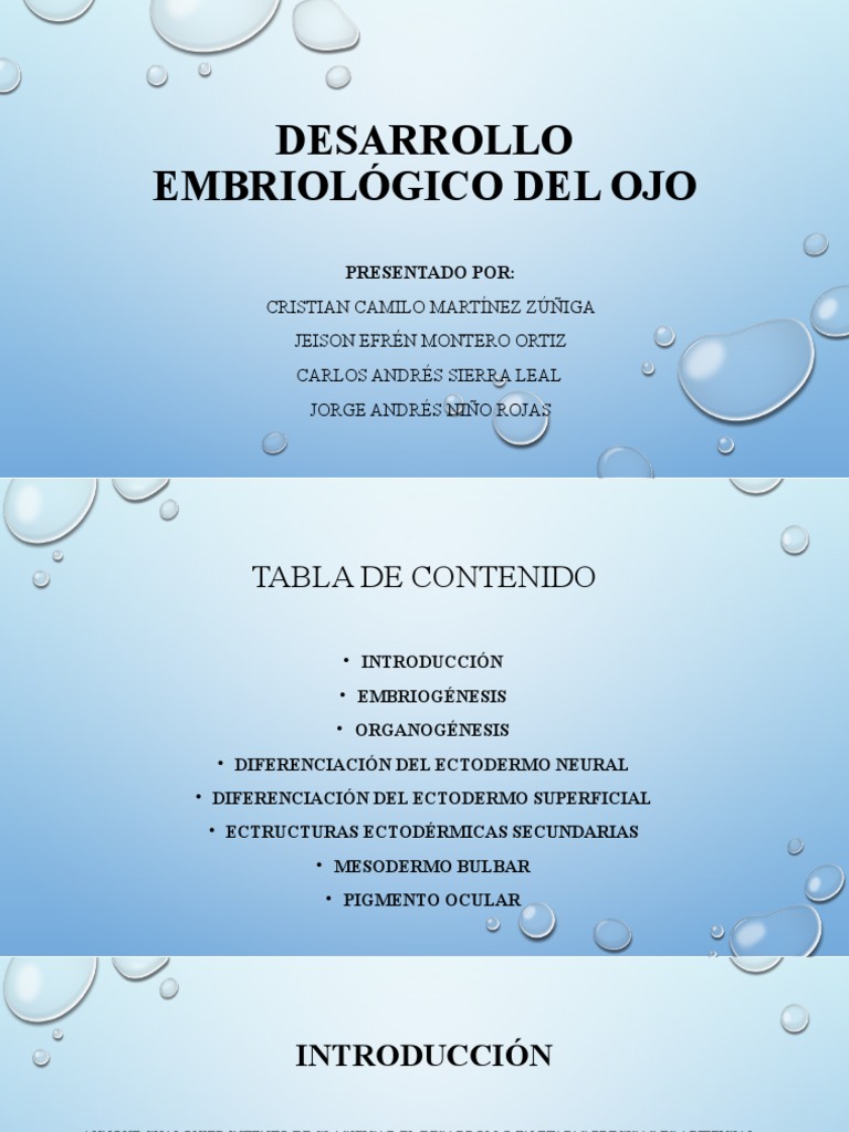 Exposicion Embriologia Del Ojo Final | PDF | Epitelio | Retina
