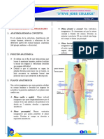 LOCALIZACI+ôN DE ESTRUCTURAS ANAT+ôMICAS. Cavidades Corporales. | PDF | Abdomen | Tórax