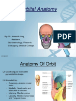 Optic Foramen Radiographic Overview | PDF