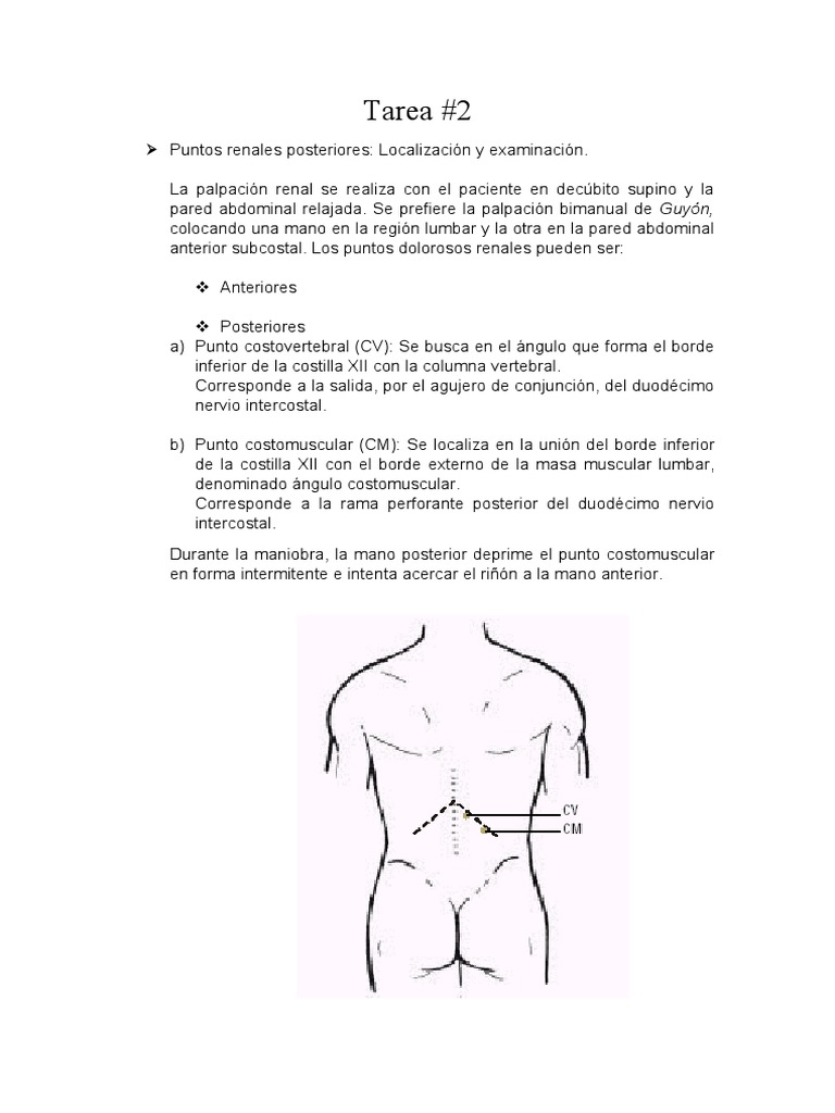 Puntos Renales | PDF