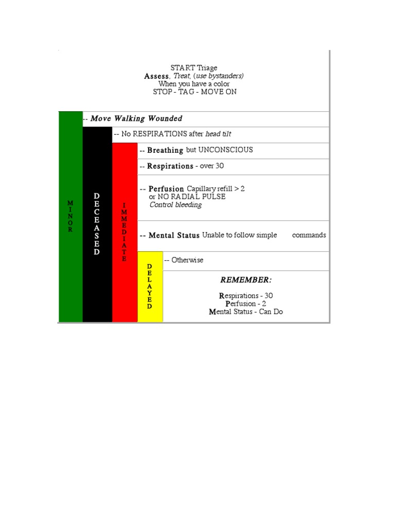 Triage Diagram (Nursing) | PDF