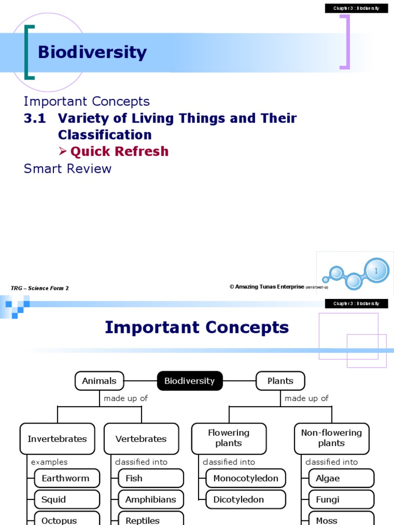 FORM 2, Chap 03-Biodiversity | PDF | Plants | Nature