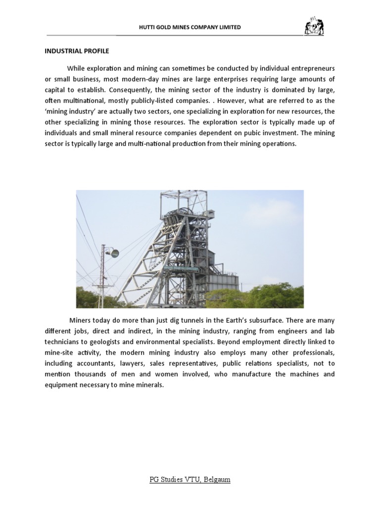 Industrial Profile: Hutti Gold Mines Company Limited | PDF | Working ...