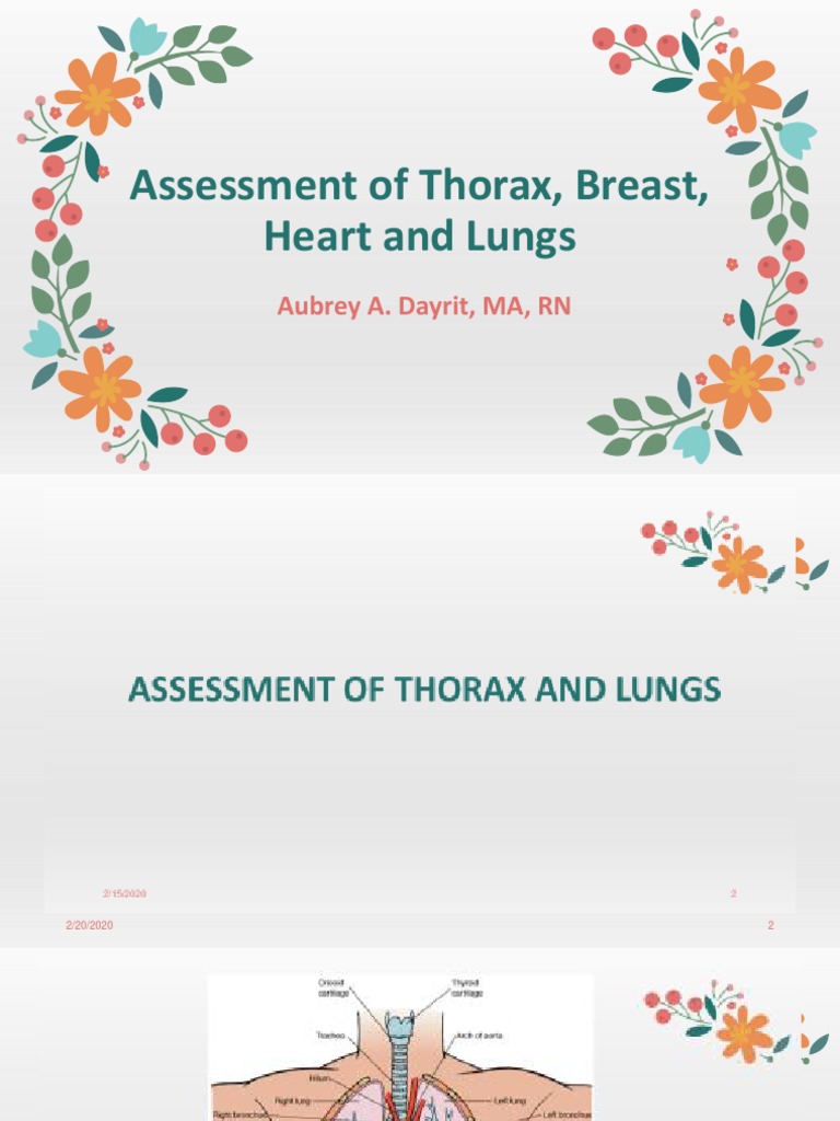 2.physical Exam 2 | PDF | Pulse | Thorax