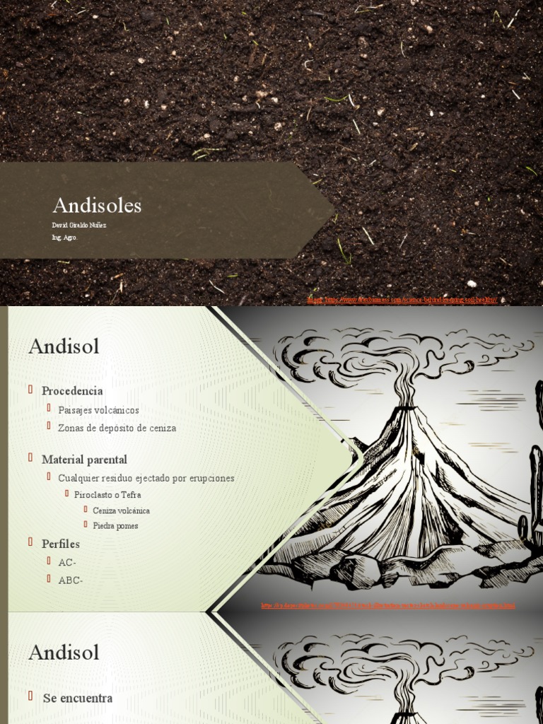 Andisoles | PDF | Arcilla | Geomorfología