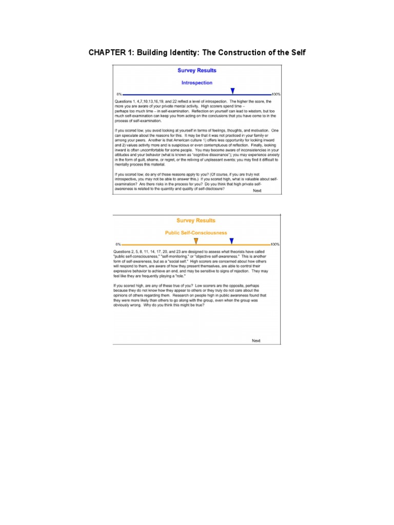Building Identity: Self-Awareness and the Construction of the Self ...