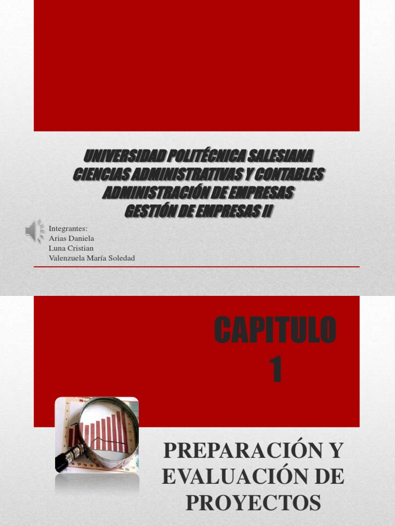 Resumen-Libro Sapag PDF | PDF | Oferta (economía) | Oferta y demanda