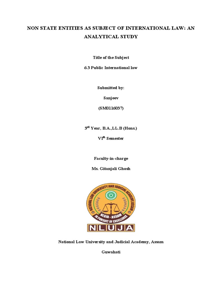 Non-State Entities in International Law | PDF | International Criminal ...