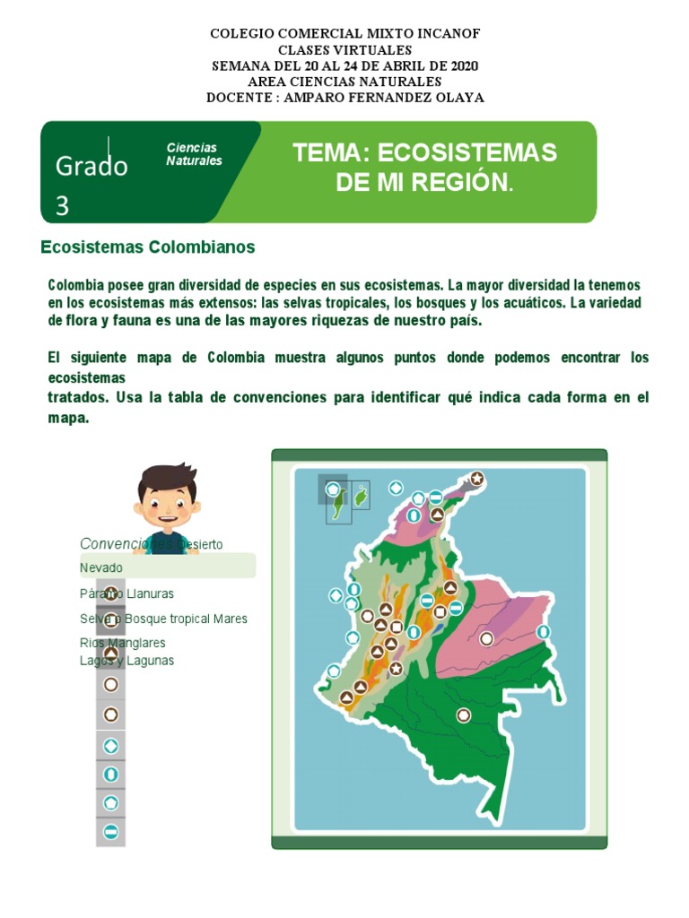 Clase Grado Tercero Ciencias | PDF | Ecosistema | Selva