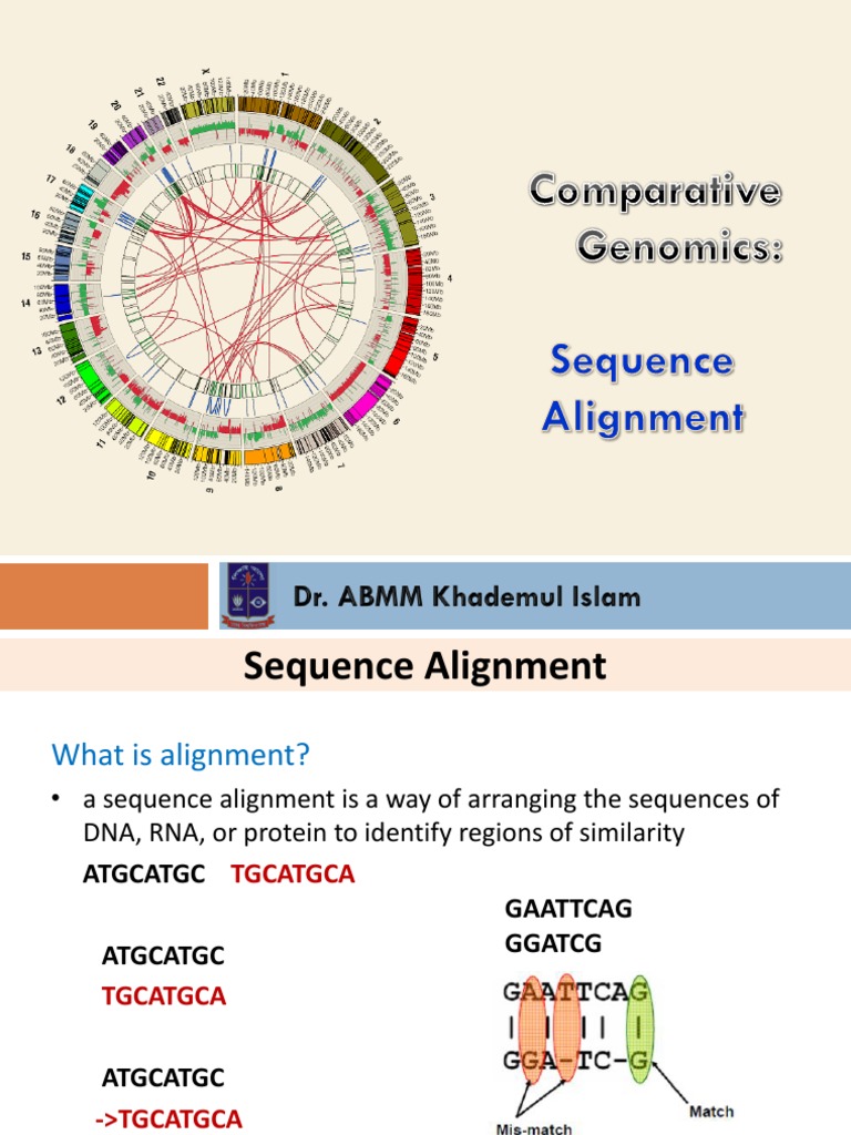 L3.4 Alignment | PDF | Sequence Alignment | Mathematical And ...