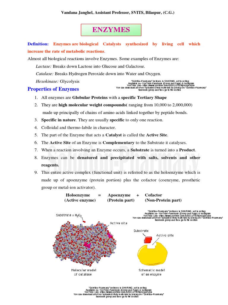 ENZYMES COMPLETE NOTES (UNIT 5 - B.Pharm 2nd Sem) PDF | PDF | Enzyme ...