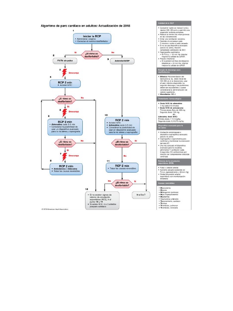 Algoritmo Arritmias Letales | PDF