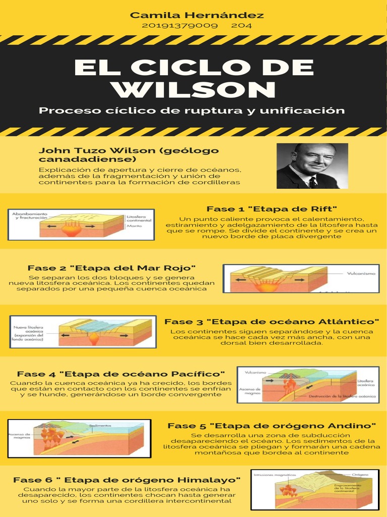 Ciclo de Wilson | PDF