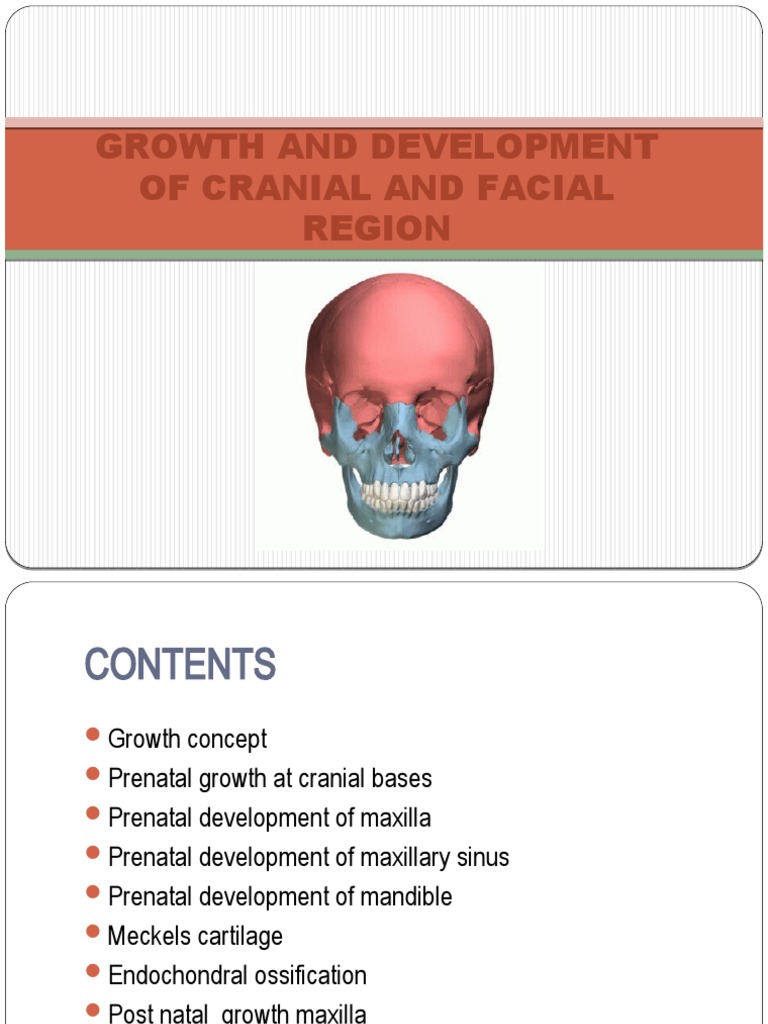 Craniofacial Growth and Development Overview | PDF | Skull ...