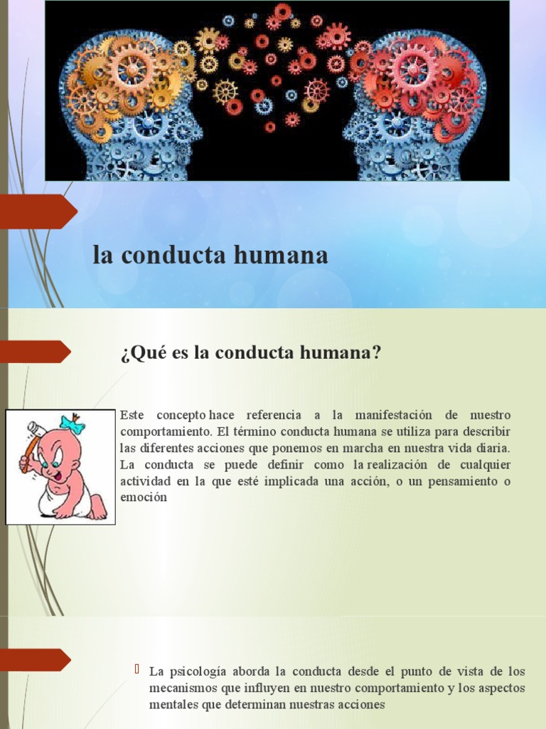 La Conducta Humana | PDF | Comportamiento | Hemisferio cerebral