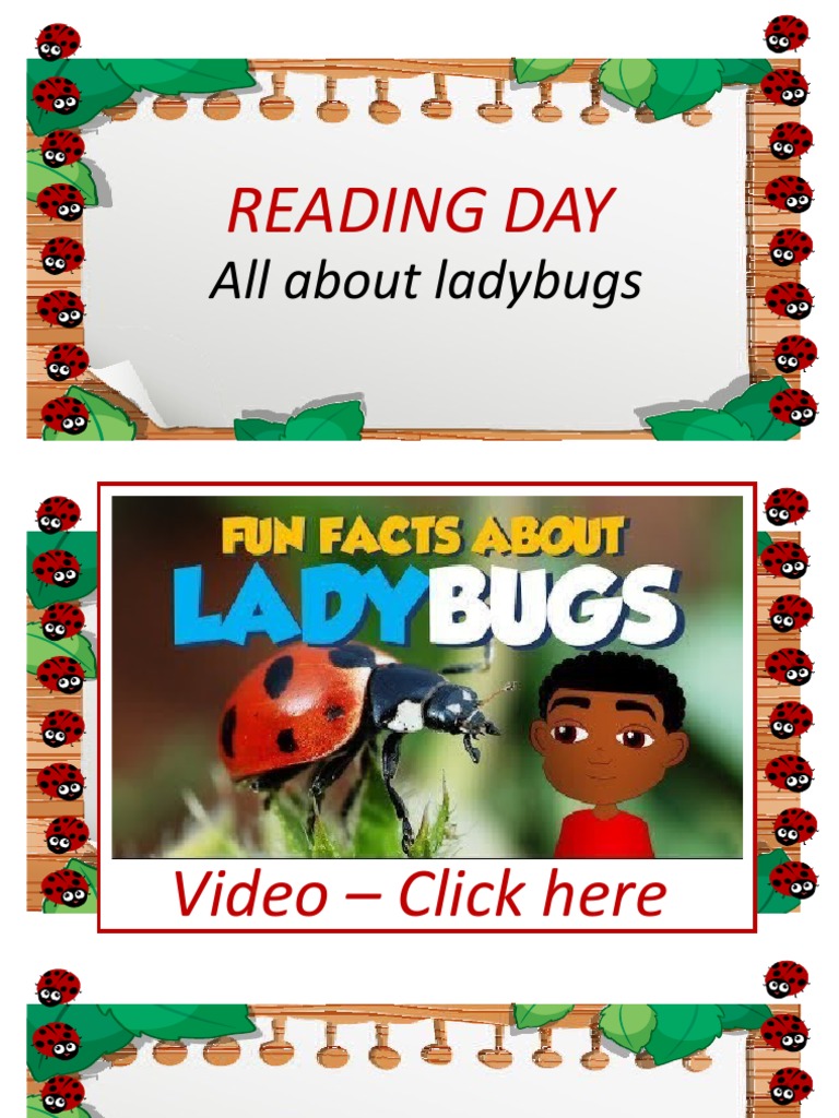 Ladybug Fun for Young Learners | PDF | Language Arts & Discipline