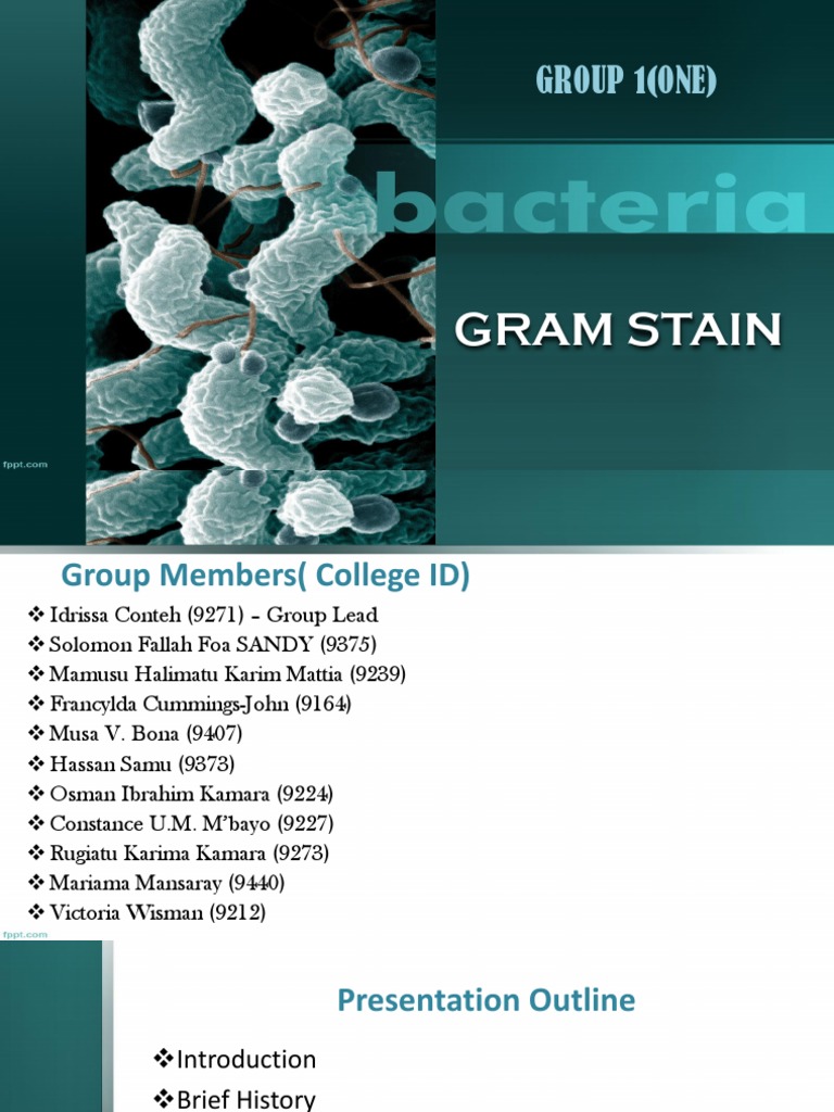 Gram Staining | PDF | Staining | Gram Positive Bacteria