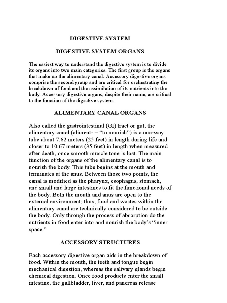 Anatomy Project | PDF | Gastrointestinal Tract | Esophagus