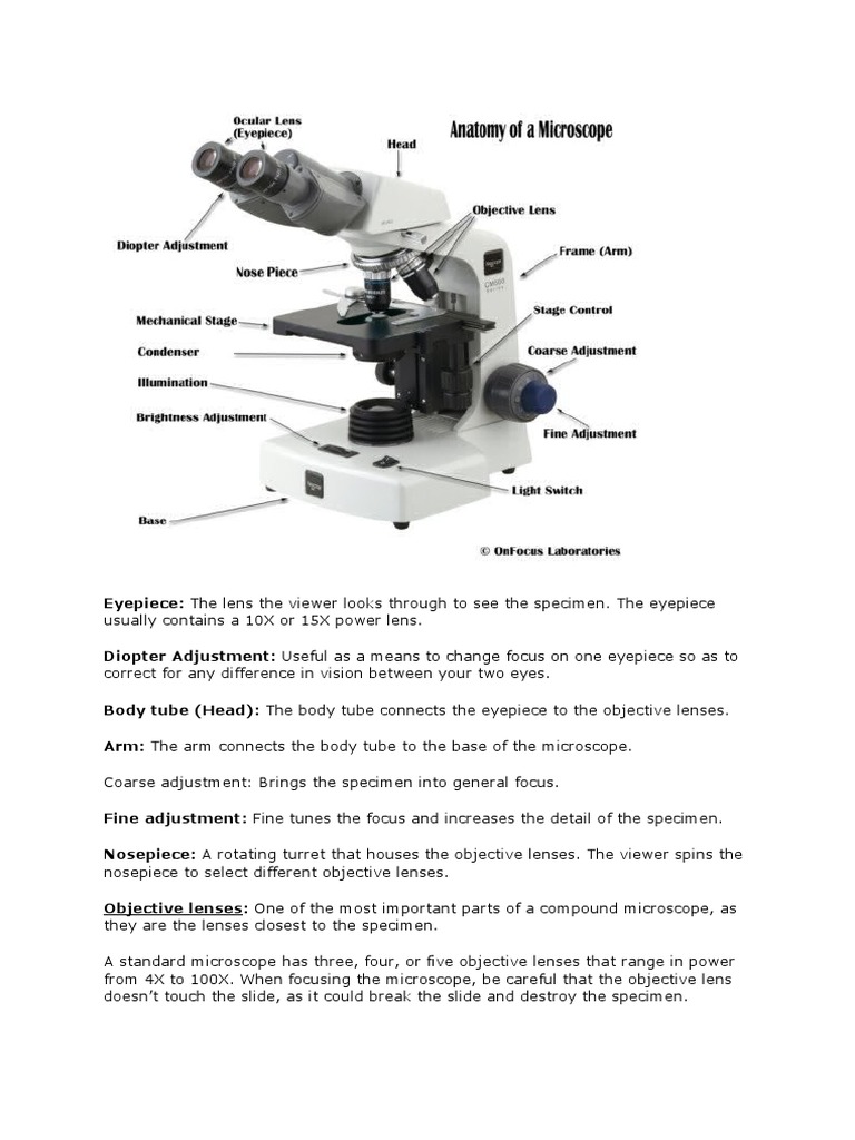 Field Microscope Lenses