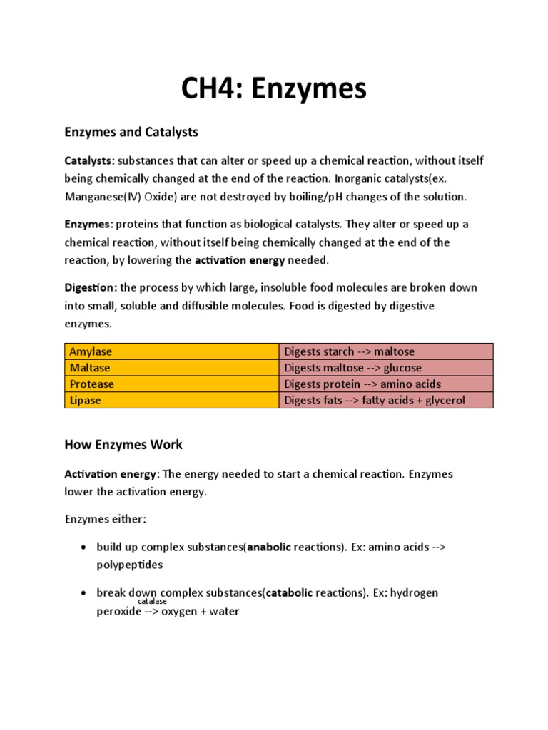 Enzymes: Functions and Mechanisms | PDF | Active Site | Enzyme