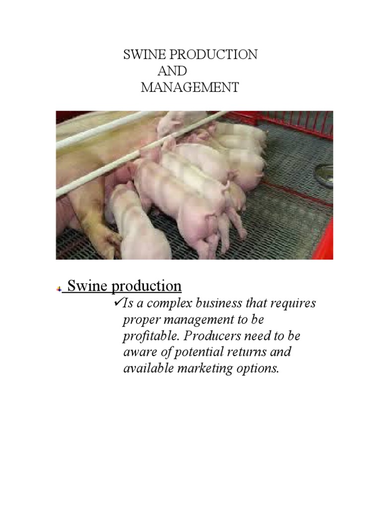 Swine Production Management Guide | PDF