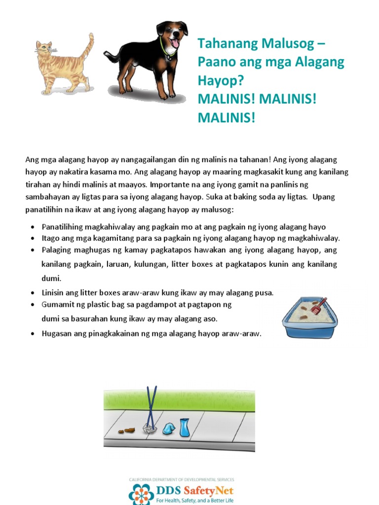 Pet Care Tips Tagalog | PDF