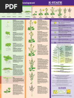 Tui Planting Calendar Poster | PDF | Vegetables | Crops