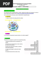 Evaluación de la Célula - 5° Grado | PDF | Salud y bienestar | Ciencia ...