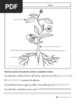 Control lengua tema 11-12(1) | PDF