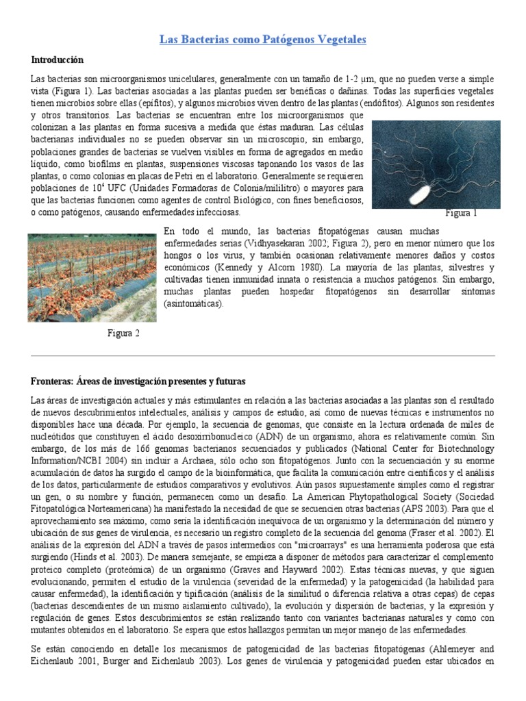 Fito Examen | PDF | Virus | Las bacterias