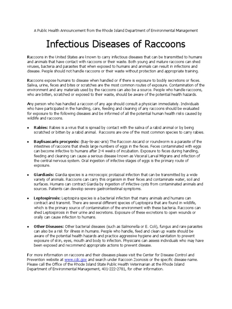 Infectious Diseases of Raccoons: WWW - Cdc.gov | PDF | Rabies | Medical ...