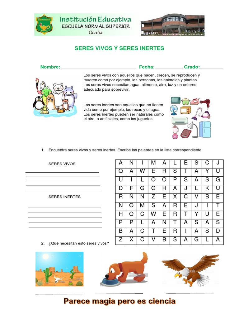 Seres Vivos y Seres Inertes Ficha para La Clase | PDF | Hongo | Plantas