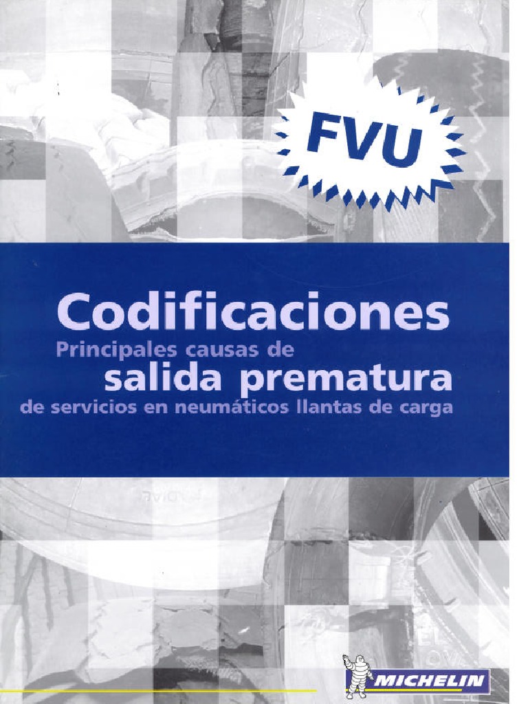 Manual FVU | PDF