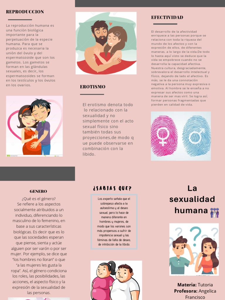 Triptico Sobre Sexualidad | PDF | Hombre | La sexualidad humana