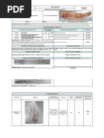 Flevomax 500mg Prospecto | PDF | Amamantamiento | El embarazo
