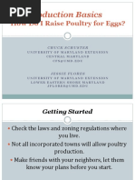 Medicine Chart For Chickens | PDF | Candidiasis | Medical Diagnosis