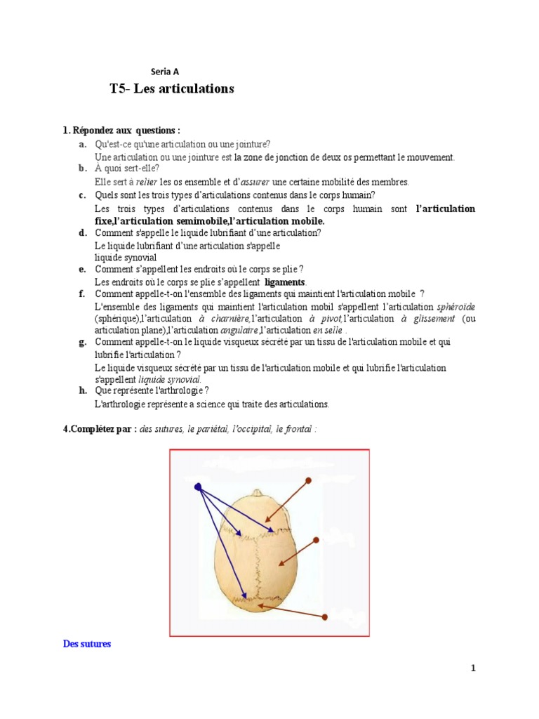 Types d'articulations et leur fonction | PDF | Articulation (anatomie ...