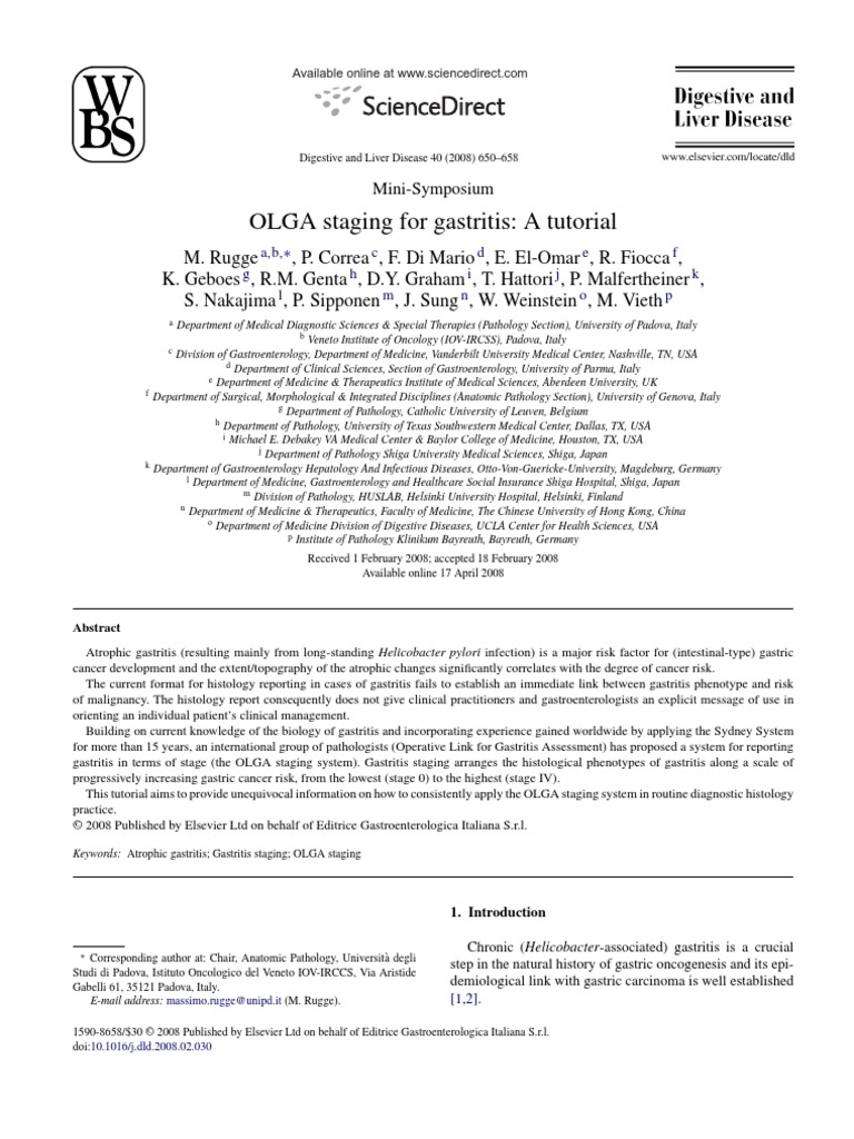 OLGA Staging For Gastritis | PDF | Stomach | Gastroenterology