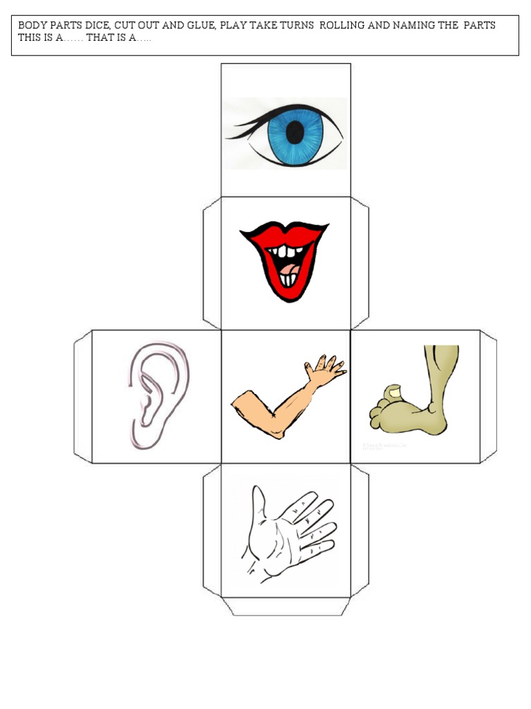 Body Parts Dice, Cut Out and Glue, Play Take Turns Rolling and Naming ...