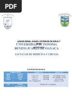Escala RIFLE en Lesión Renal Aguda | PDF | Función renal | Creatinina
