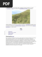Reptación: Movimientos de Suelos y Creep | PDF | Suelo | Geología